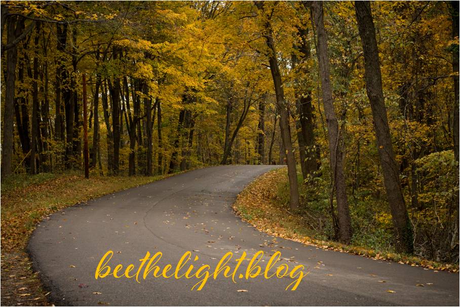The Long and Winding Road – Bee the Light